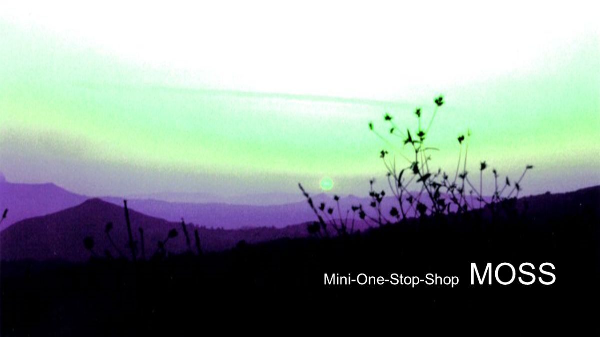 MOSS Mini One Stop Shop in der Umsatzsteuer